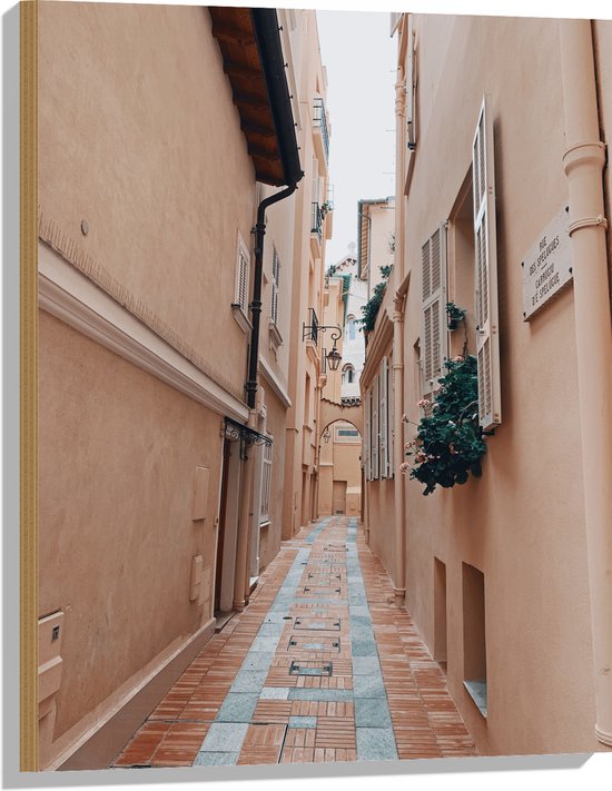 Hout - Mooi Steegje in het Buitenland met Zilverspar Plant uit het Raam ...