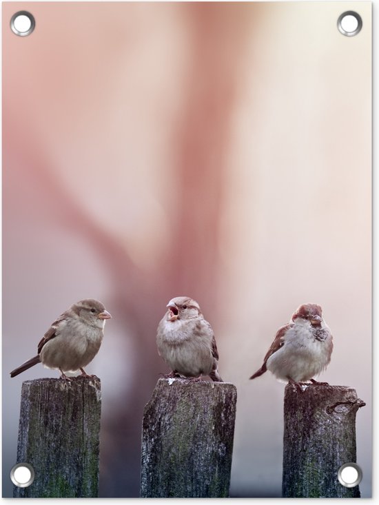 Tuin decoratie Vogels - Mussen - Paaltjes - Hout - 30x40 cm - Tuindoek - Buitenposter | bol