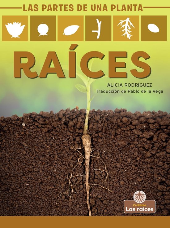 Las partes de una planta (Parts of a Plant) - Raíces (Roots) (ebook ...