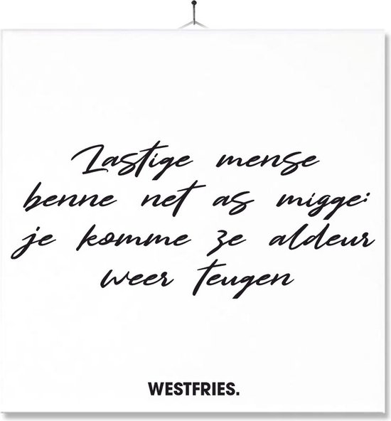 Tegel Met Opdruk | Grappig | Humor | Verjaardag kado | Westfries ...