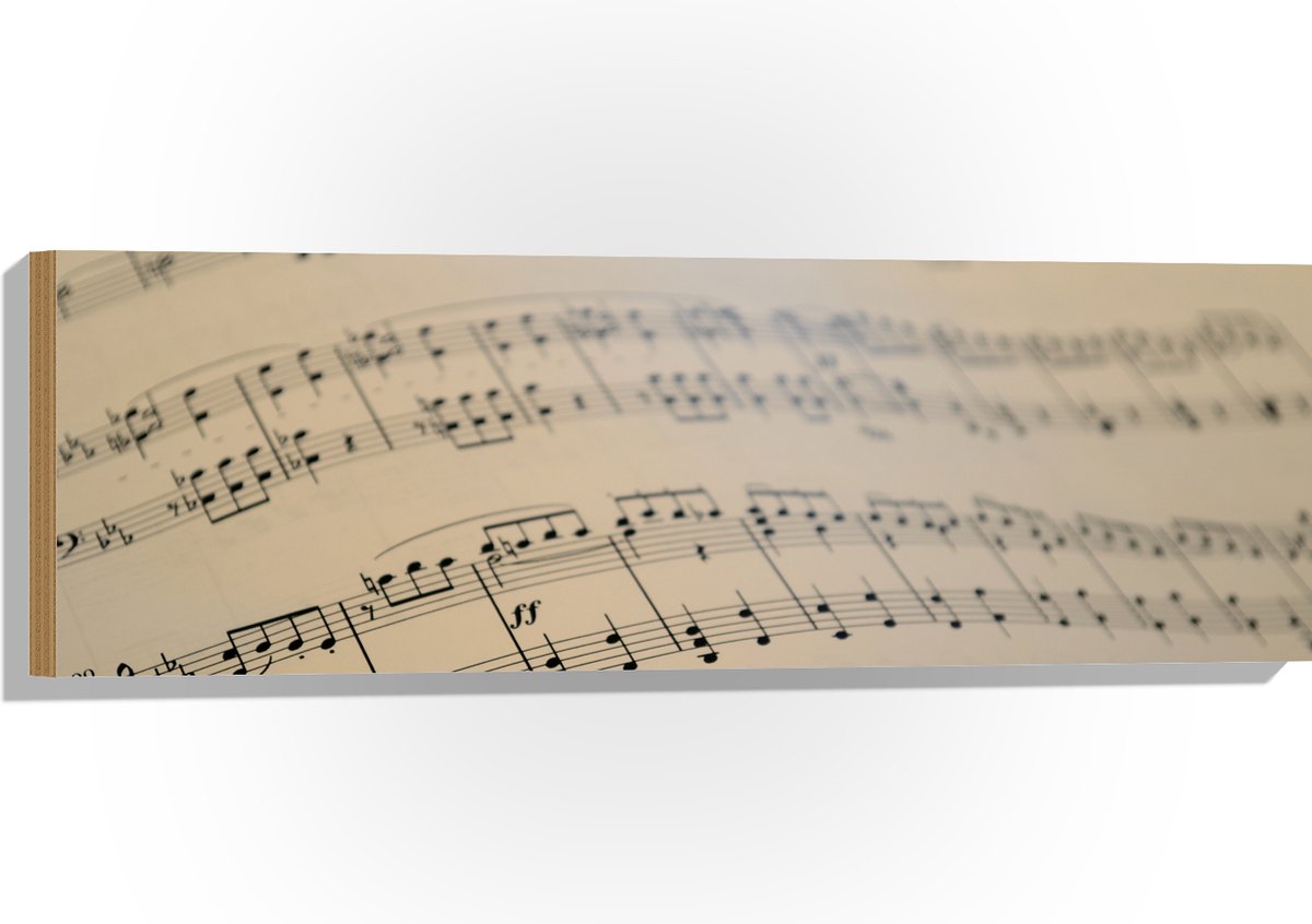 Hout - Notenblad van Muziek - 90x30 cm - 9 mm dik - Foto op Hout (Met ...