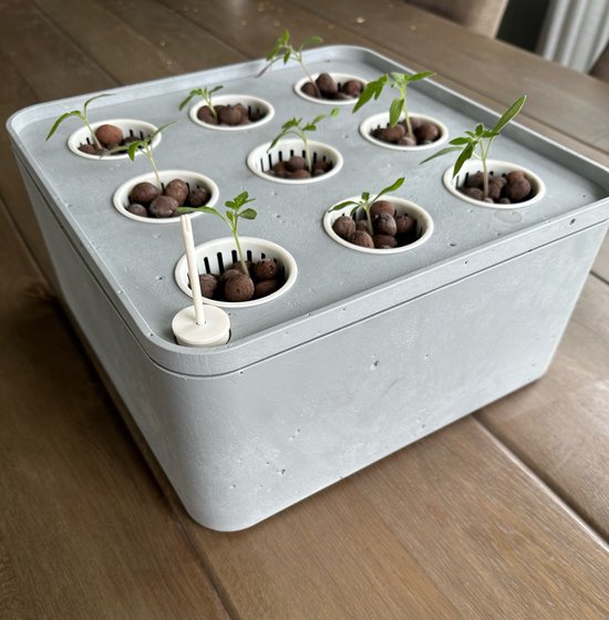 Curver Bio Kweekbak Compleet - Hydro Korrels + Kweek Potjes ...