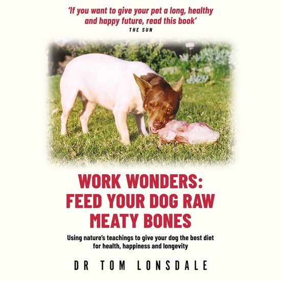 Work Wonders, Dr. Tom Lonsdale | 9780645726589 | Boeken | bol.com