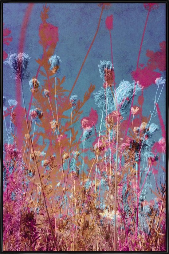 JUNIQE - Poster in kunststof lijst Transformation -30x45 /Blauw & Roze ...