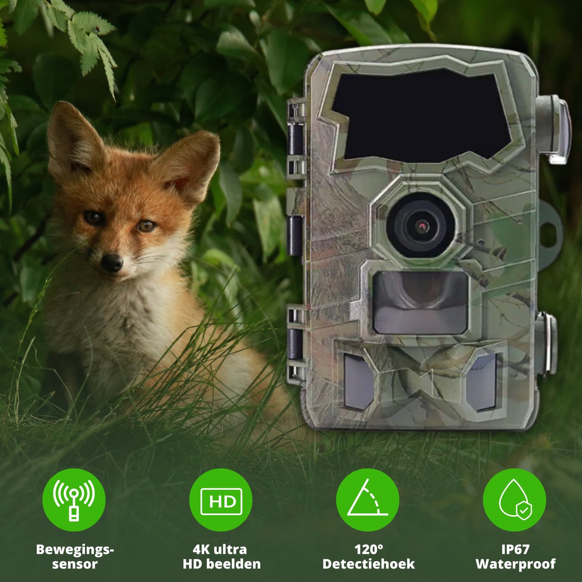 VitaVi Wildcamera - Wildcamera met Nachtzicht - Camerasysteem voor ...