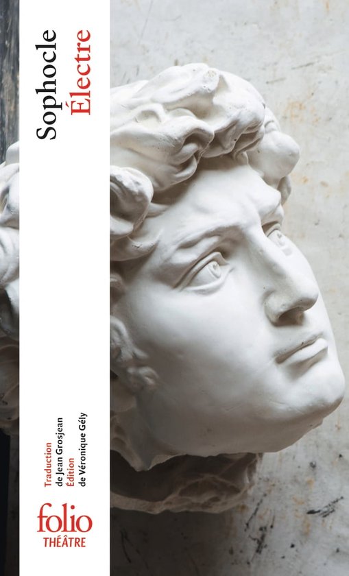 Électre (ebook), Sophocle | 9782072731372 | Boeken | bol.com