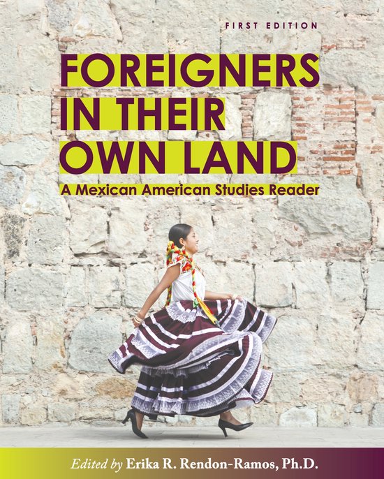 Foreigners in Their Own Land, Erika R. Rendon-Ramos | 9781793543578 ...