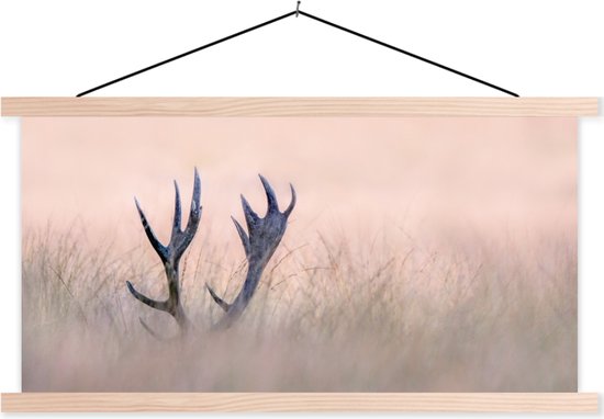 Gewei - Hert - Gras - Natuur | bol.com