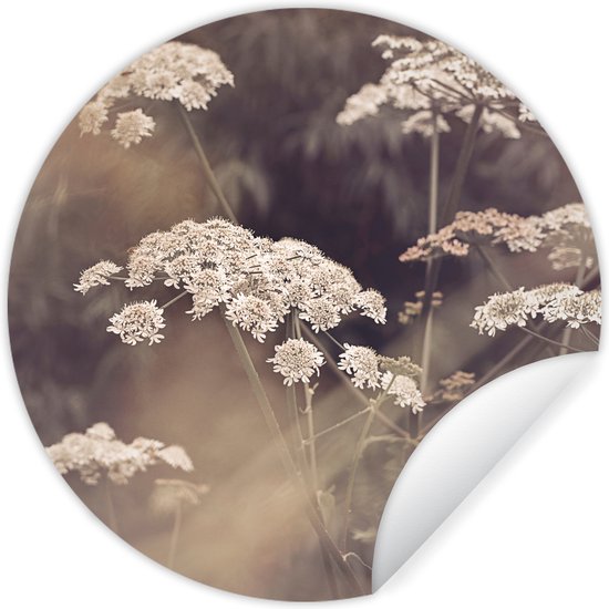 WallCircle - Muurstickers - Behangcirkel - Plant - Wit - Natuur - Bloemen - ⌀ 30 cm -... | bol