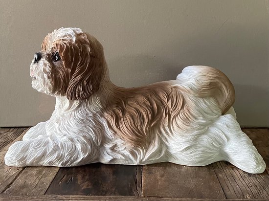 HOND - BOOMER -BEELD LIGGEND - BRUIN WIT | bol