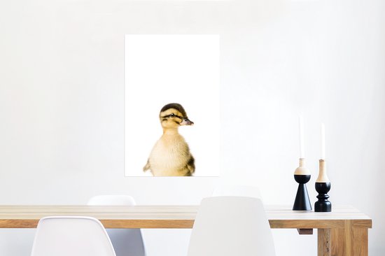 Eend - Geel - Dieren - Natuur | bol.com