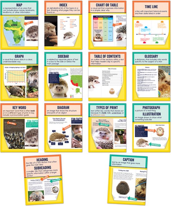 Mini Posters: Nonfiction Text Features | 9781483856377 | Boeken | bol.com
