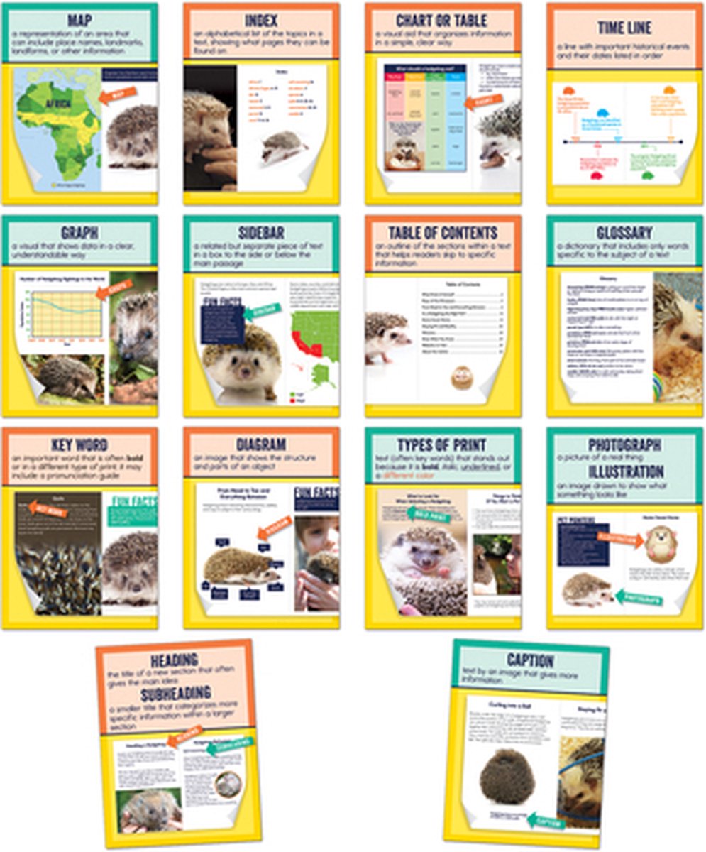 Mini Posters: Nonfiction Text Features | 9781483856377 | Boeken | bol.com