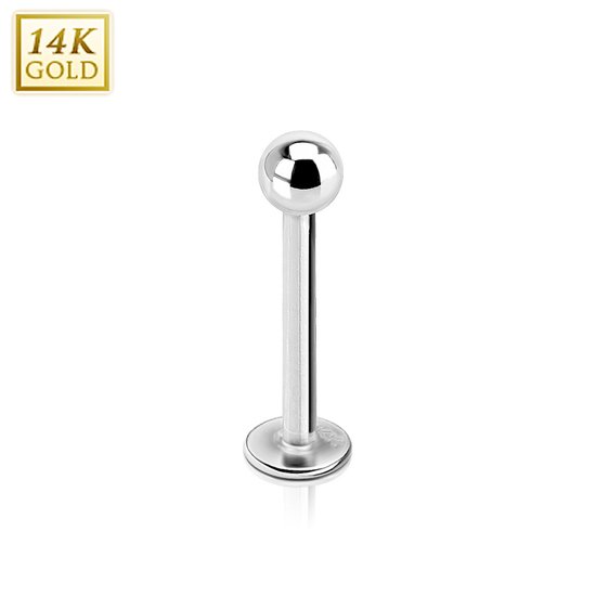 14K Wit Goud Labret-1.6 x 10 mm - LMPiercings | bol