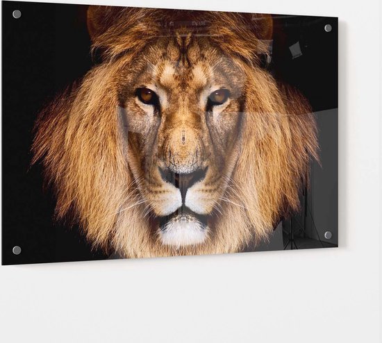 Leeuw Portret | 40x30 cm | Dieren Leeuw | Glas schilderij | Woonkamer ... Leeuw Portret | 40x30 cm | Dieren Leeuw | Glas schilderij | Woonkamer ...