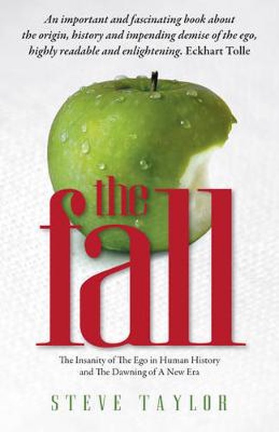 The Fall | 9781905047208 | Steve Taylor | Boeken | bol