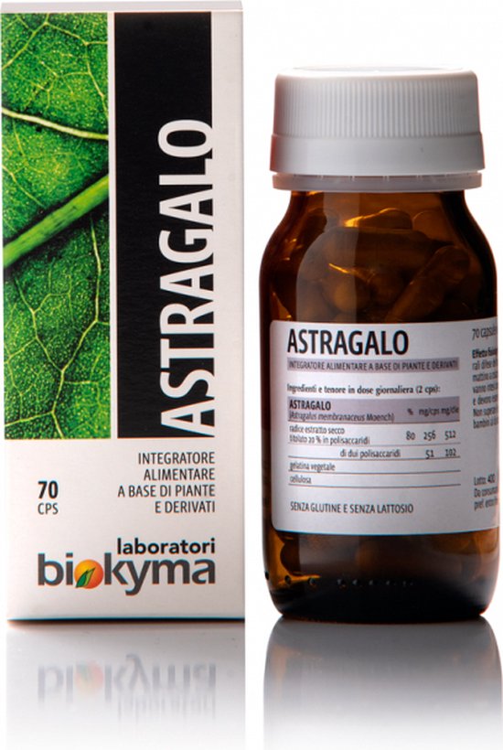 Astragalus Gedroogd extract Capsules - Ondersteunt het afweersysteem ...