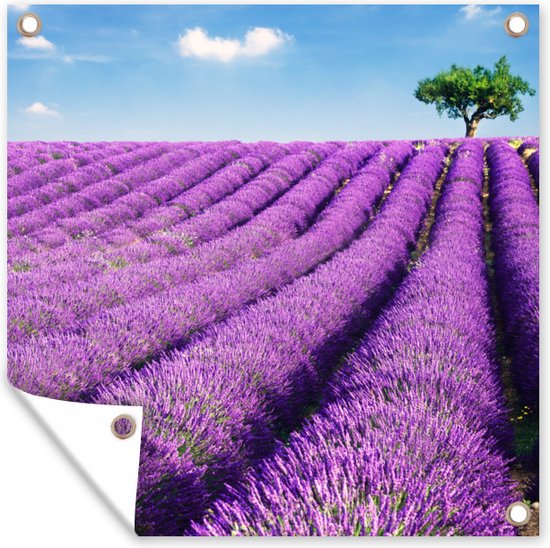 Affiche de Jardin Rolling lavande hills with a tree - 200x200 cm ...