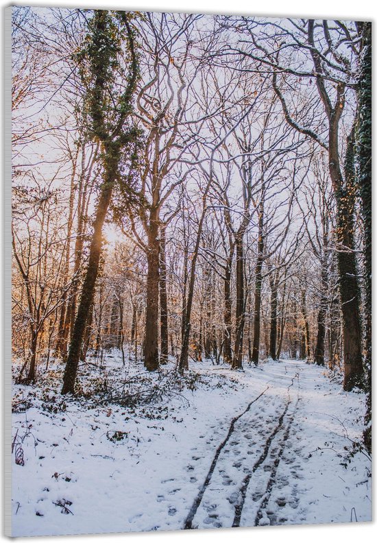 Plexiglas - Forêt sous la neige avec soleil - Photo 40x60cm sur Glas ...