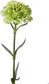 Viv! Home Luxuries Anjer - zijden bloem - groen - 53cm - topkwaliteit ...