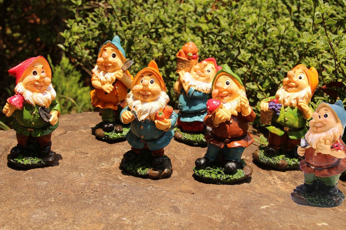 Tuinkabouter set- 7 dwergen | bol.com