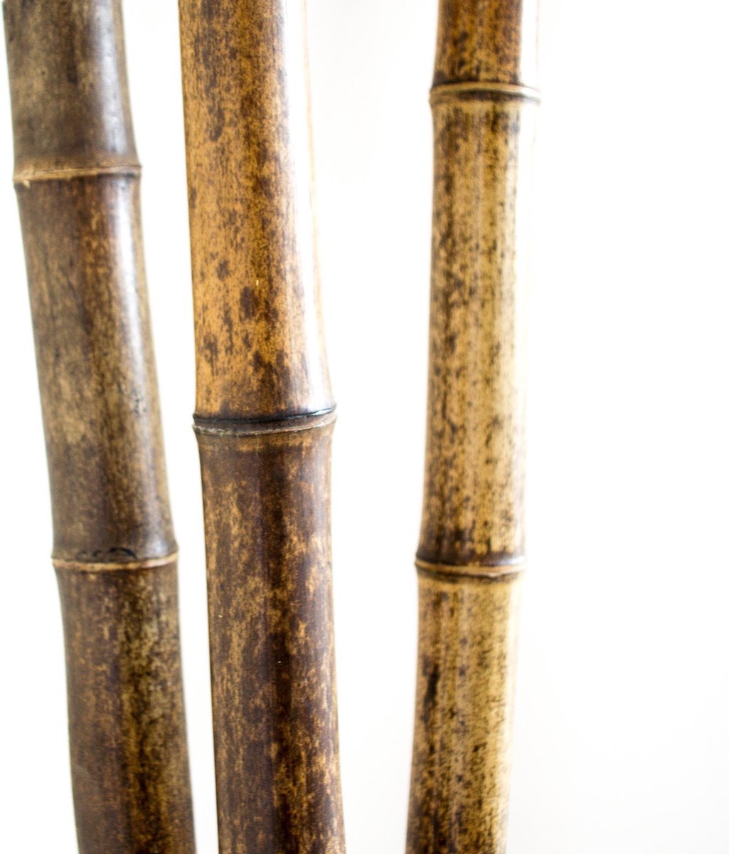 Decoratie Bamboe stokken - 100 cm - 3 stuks | bol.com