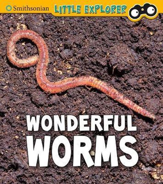 Wonderful Worms Insect Explorer | 9781474794640 | Megan Cooley Peterson ...