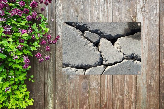 Tuinposters buiten Beton - Scheur - 90x60 cm | bol.com