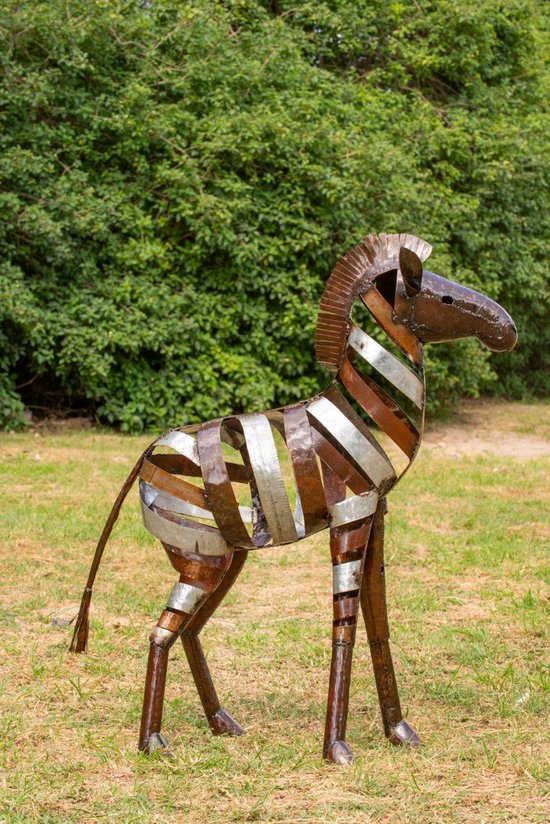 METAL NATURAL EXTRA LARGE ZEBRA | bol.com