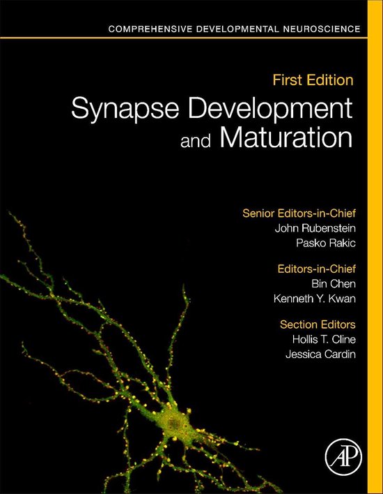 Synapse Development and Maturation | 9780128236727 | Pasko Rakic ...