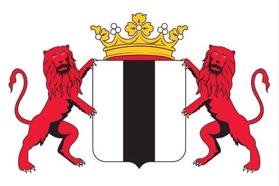 Vlag Delft met wapen 70x100cm | bol.com