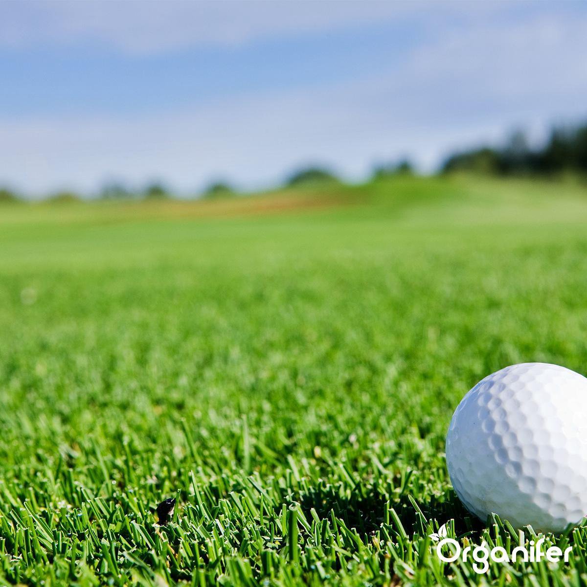 Organifer Grass Insects Concentraat - 250ml voor 62,5m2 - Gebruik bij ...