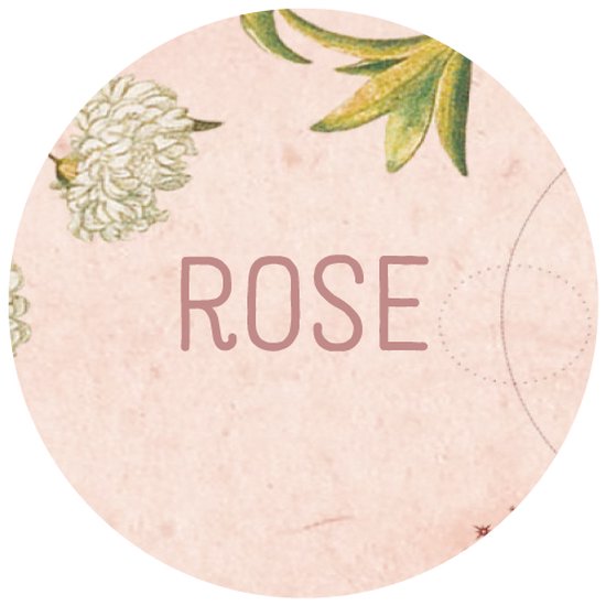 Pimpelmees family diary 2023 - rose FSC | bol.com