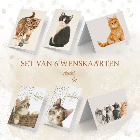 Set wenskaarten van Franciens Katten | bol.com