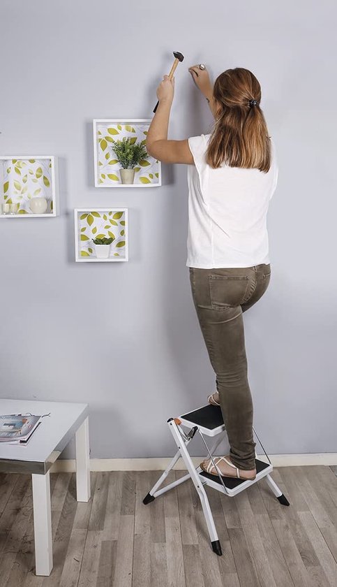 Huishoudtrap – small ladder – kitchen step – household step – mini ...