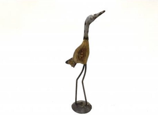Bird Rohit M H48cm | bol