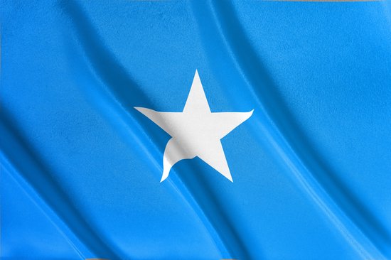 Vlag Somalië | Alle Afrikaanse vlaggen | 52 soorten vlaggen | 200x100cm ...