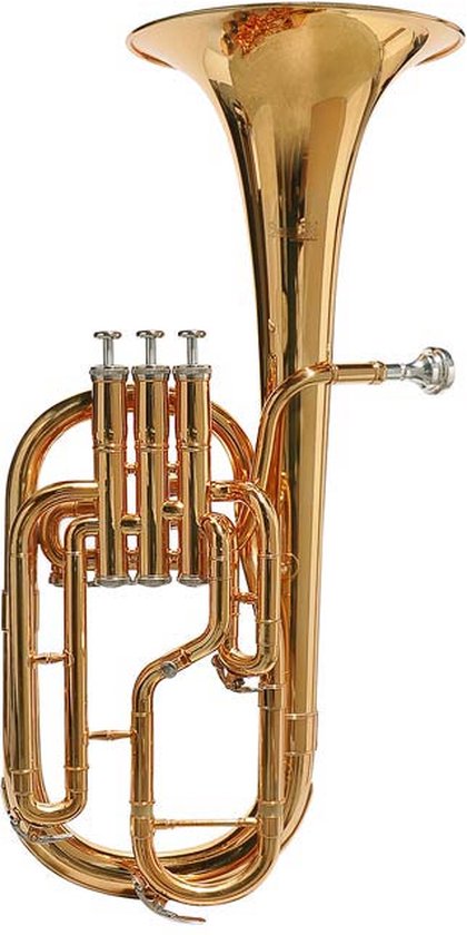 Althoorn Stewart Ellis Pro Series SE-1330-L incl. softcase | bol.com