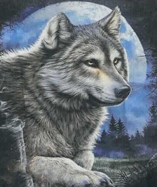 Wolf - Diamond Painting- 50 x 65 - ronde steentjes | bol.com