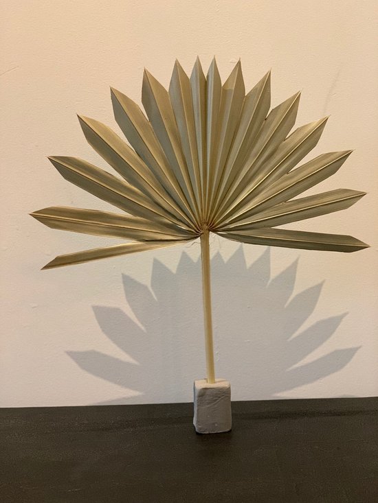 Palmblad op plateau | bol.com