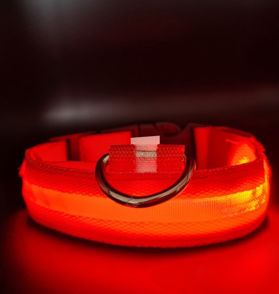 LED halsband hond | Maat L | 45 - 52 cm | USB oplaadbaar | Rood ...