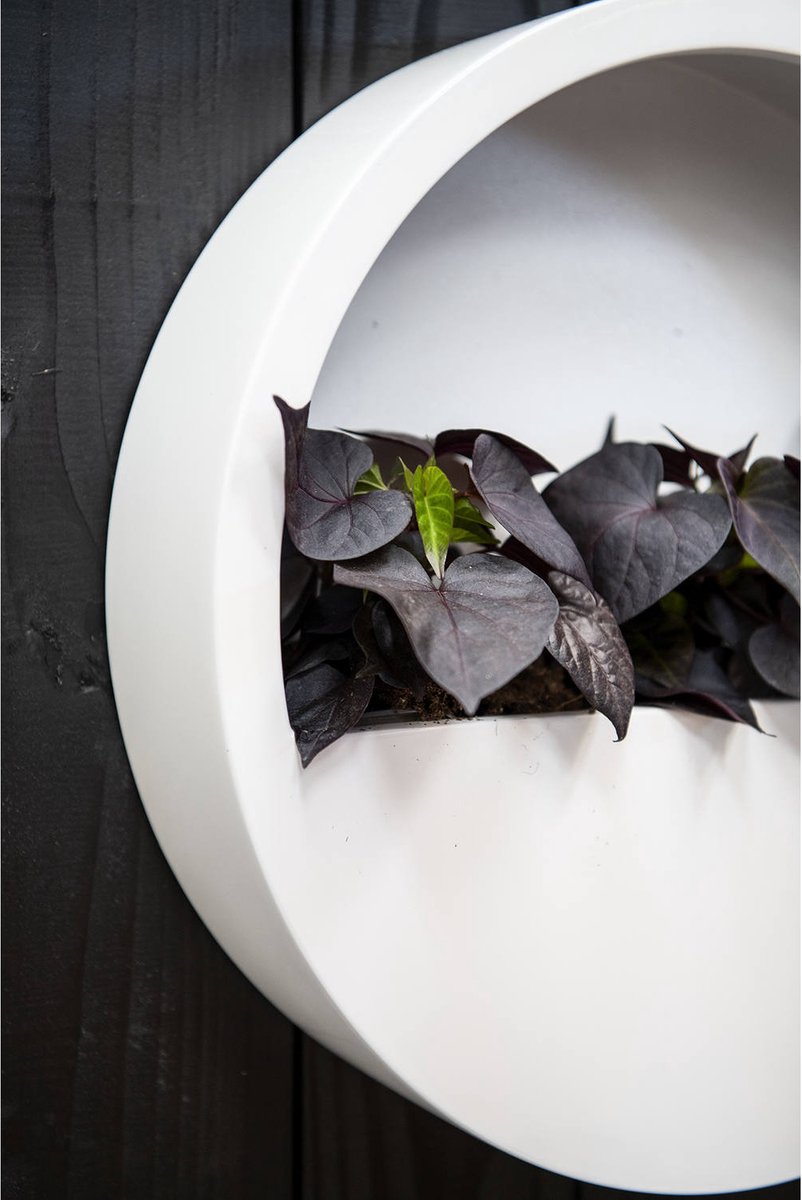 Ronde wand bloempot van Naturn Living | Muur bloempot | Wanddecoratie ...