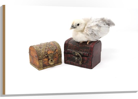 WallClassics - Hout - Kuiken op Schatkist - 105x70 cm - 12 mm dik ...