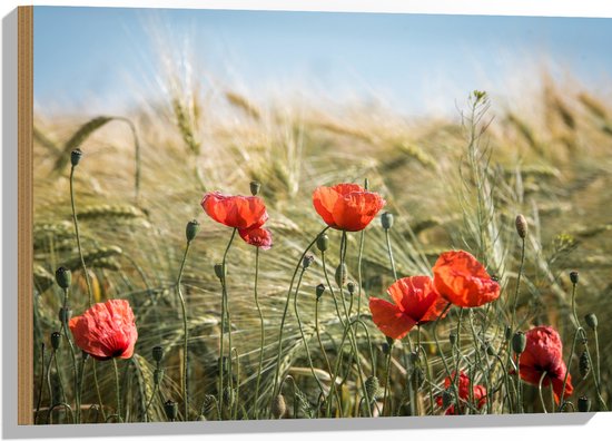 WallClassics - Hout - Rode Klaprozen in het Gras - 75x50 cm - 12 mm dik ...