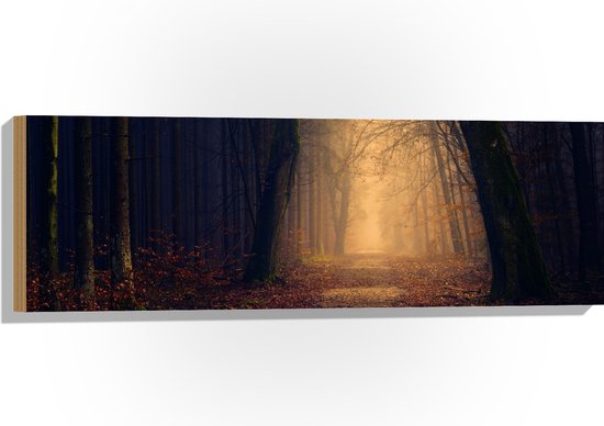 WallClassics - Hout - Mysterieus licht in Duister Bos - 90x30 cm - 12 ...