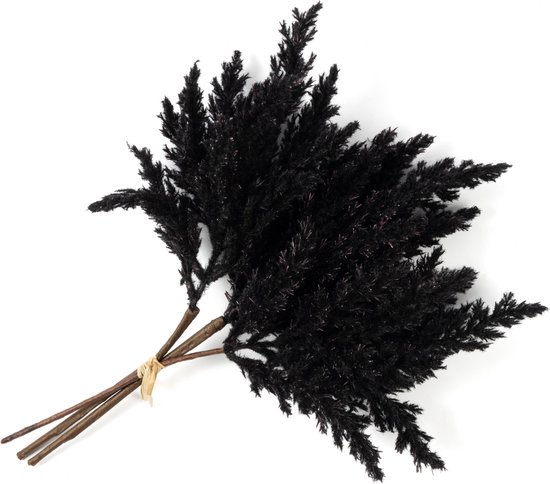 Everplant Kunst Pluim Boeket Zwart 25 cm - Kunstpluim - Pluimen ...
