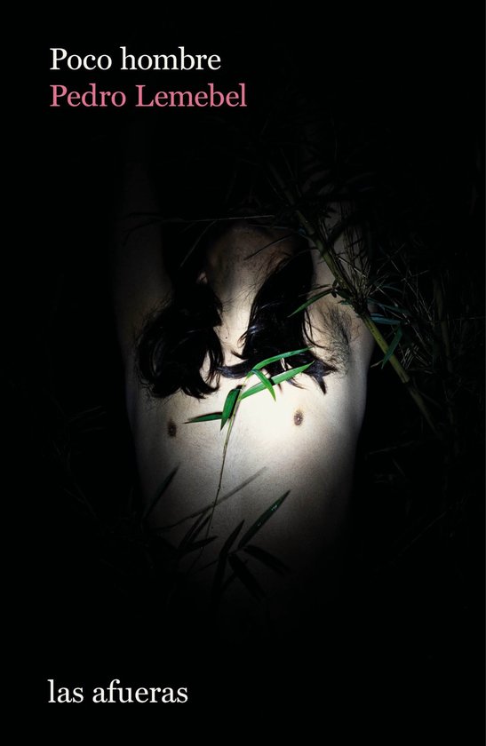 Poco hombre (ebook), Pedro Lemebel | 9788412591163 | Boeken | bol