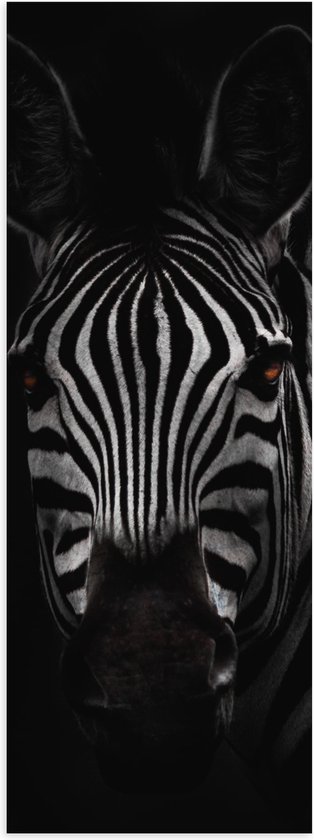 WallClassics - Poster (Mat) - Zebra in het Donker Zwart-Wit - 20x60 cm ...