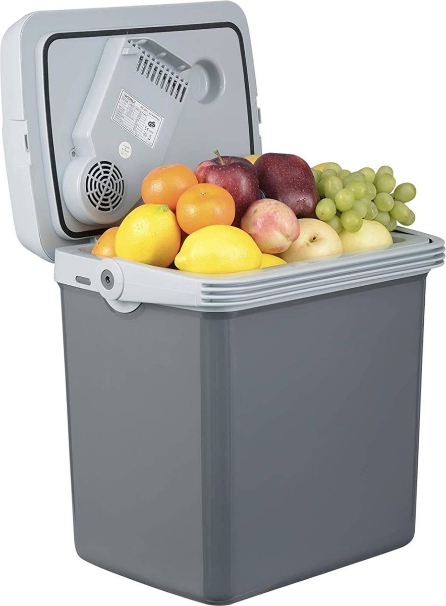 Frigobox 19L Elektrisch - Koelbox draagbare minikoelkast 19 liter A++ ...