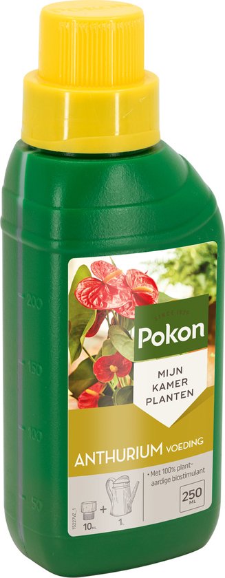 Pokon Anthurium Voeding - 250ml - Plantenvoeding - 10ml per 1L water | bol